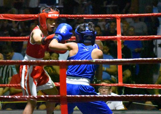 Attila’s Boxing Academy great night out - Bundaberg Today