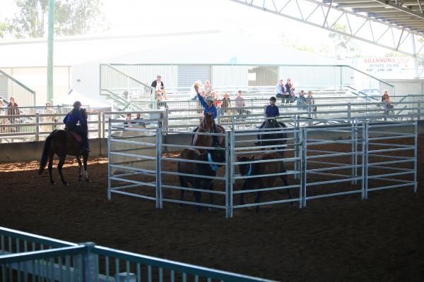 Bundy Show to go off with a bang - Bundaberg Today