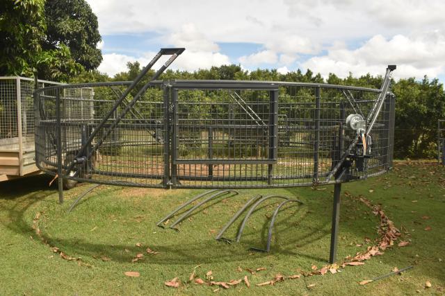 The Boar Buster arrives in Bundaberg - Bundaberg Today