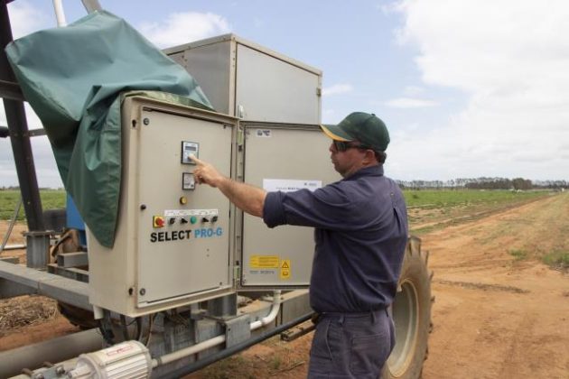 CANEGROWERS election time - Bundaberg Today