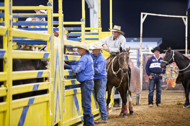 Rodeo action welcomed back to Agrotrend calendar - Bundaberg Today