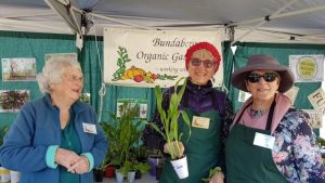 Organic gardeners focused on environment and health - Bundaberg Today