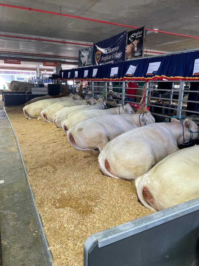 Oreco showcase regional quality at Ekka - Bundaberg Today