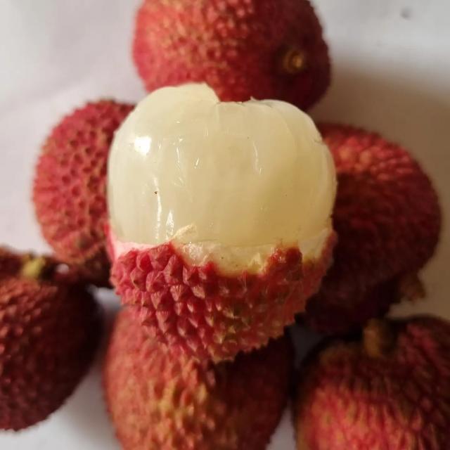 Lychees still top of the list - Bundaberg Today