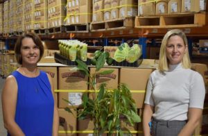 Austchilli looking towards future on International Women’s Day ...