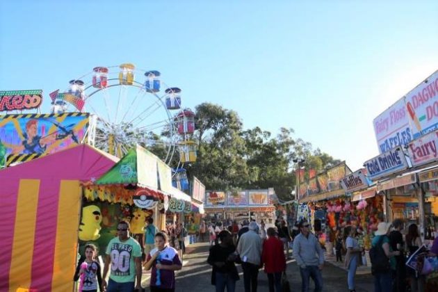 Bundaberg Show set to shine - Bundaberg Today