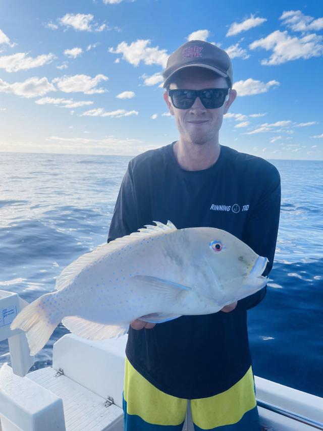Winter whiting just waiting - Bundaberg Today