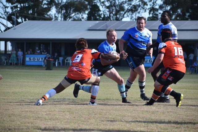 Sharks bound for big dance - Bundaberg Today