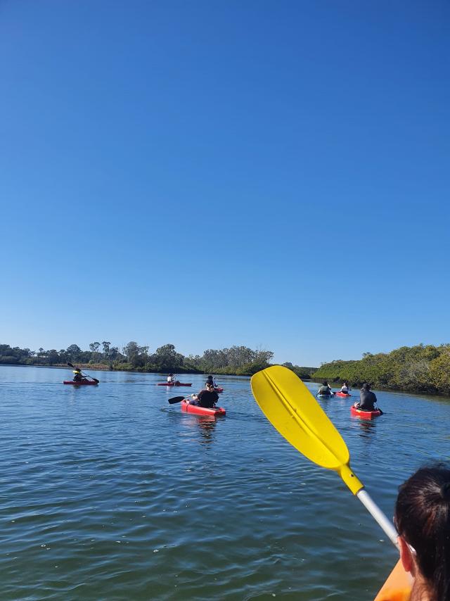 Experience beauty of local waterways with kayaking - Bundaberg Today