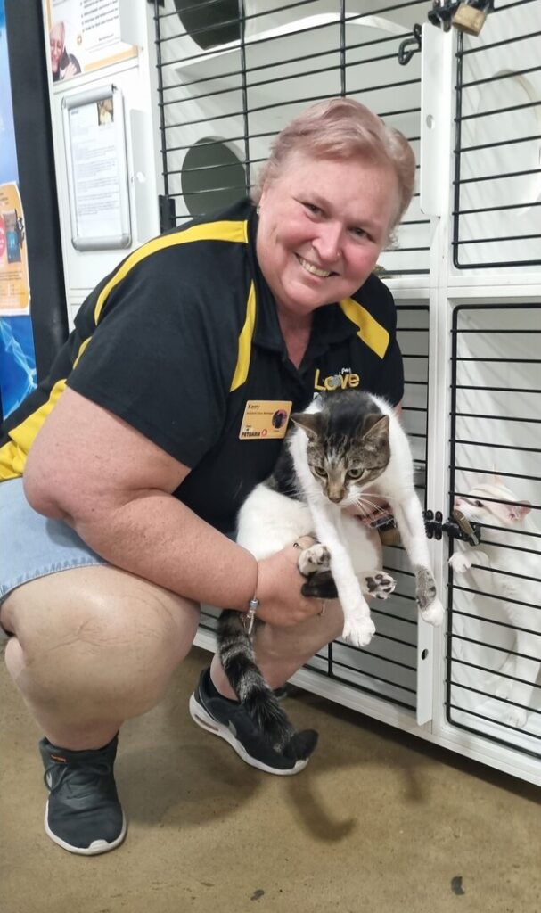 Time to adopt your own Garfield - Bundaberg Today