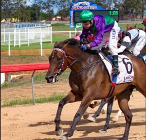 Racing brings big bucks - Bundaberg Today