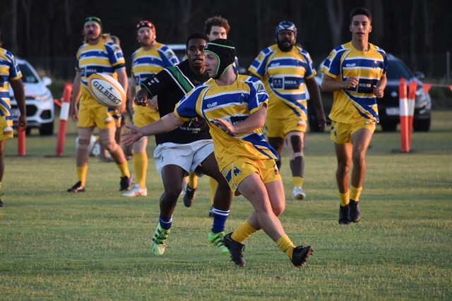Spring Cup final ahead - Bundaberg Today