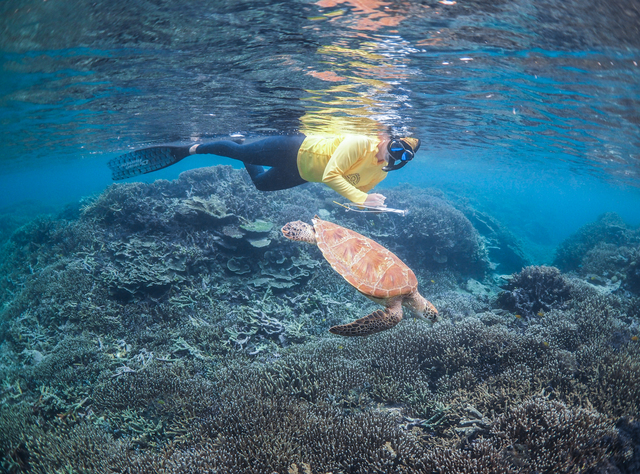 Master Reef Guide brings Great Barrier Reef education to the world ...