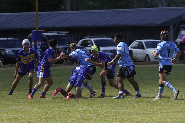 Devils, Sharks and Tigers impress - Bundaberg Today