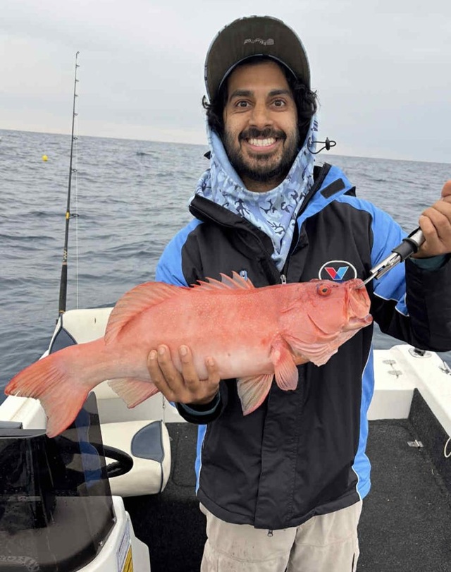 Quality catches just keep getting better - Bundaberg Today
